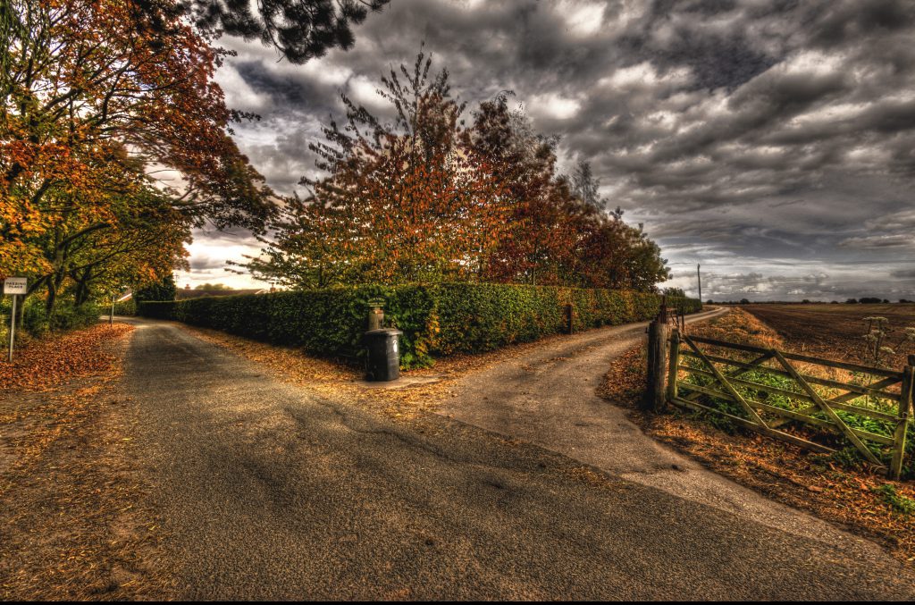 Two Roads Diverged – Tom Lambrecht | Good News Magazine